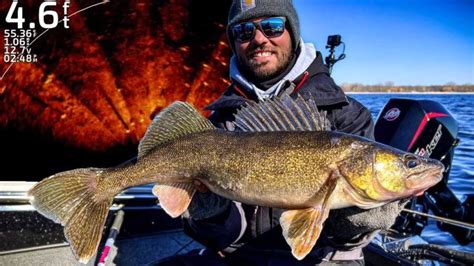 Targeting Pre Spawn Walleyes With Garmin Livescope Perspective Mode