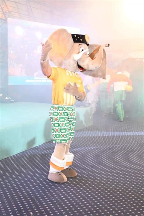 Akwaba La Mascotte De La Can Officiellement D Voil E