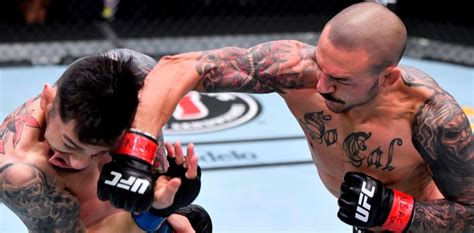Los 3 Mejores Nocauts De La Noche De UFC Y Un Bonus Track