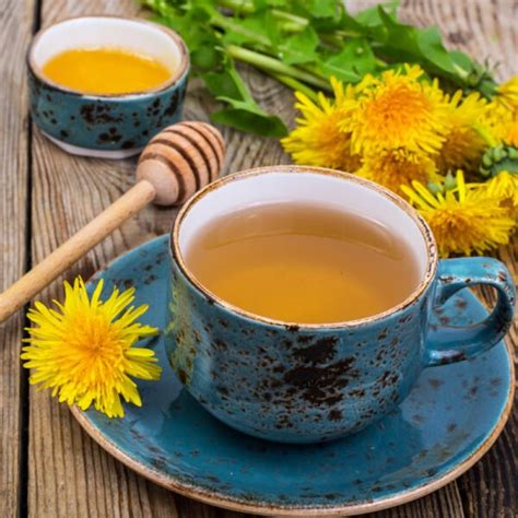 Dandelion Flower Tea Recipe Culinary Blossom