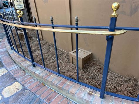 PHOTOS Tianas Bayou Adventure Cobblestone Pathway Behind Frontierland