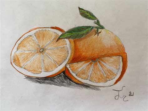 Pencil Shading Fruits