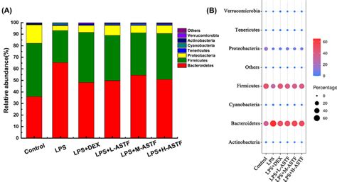 Microbial Community Composition In Mouse Feces At Phylum Levels A