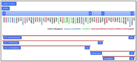 the schematic representation of the 22q11 2 region comprising lcr22 a download scientific