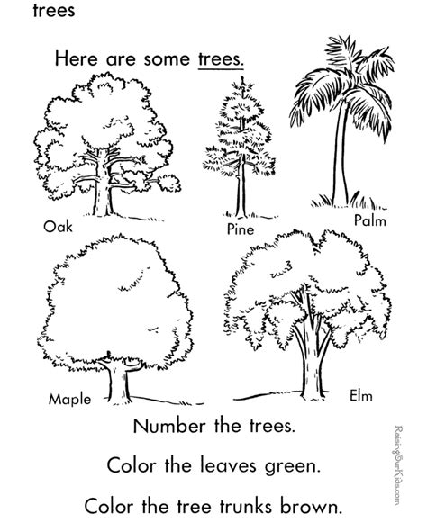 Rbol Naturaleza Dibujos Para Colorear E Imprimir Gratis