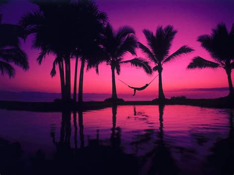 Details 64 Tropical Sunset Pink Beach Wallpaper In Cdgdbentre