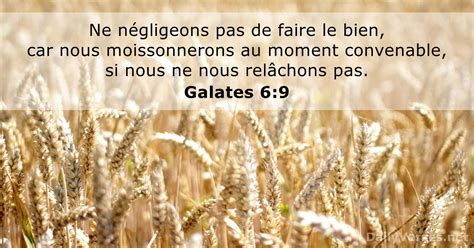 12 Novembre 2023 Verset Biblique Du Jour Galates 6 9 DailyVerses Net