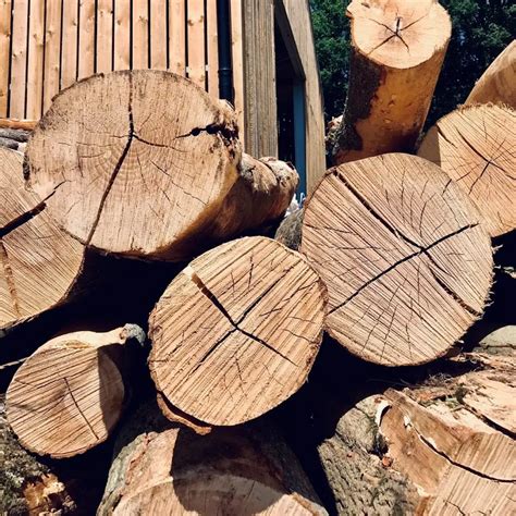 Ranking Firewood To Burn With BTU Chart Awesome Axes