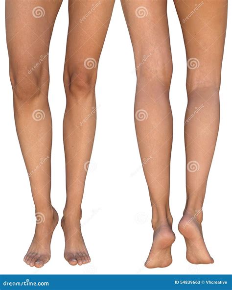 Slightly Bent In Knees Standing On Toes Female Legs Stock Image