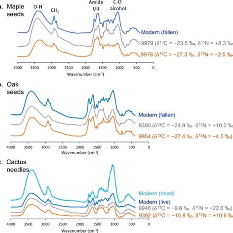 Baseline Corrected And Normalized FTIR Spectra For Modern And Ancient A