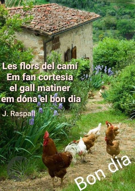 Pin De Pilar Casta O Em Bon Dia Frases Fotos