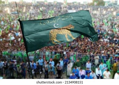 11 Pakistan Muslim League N Flag Images Stock Photos Vectors