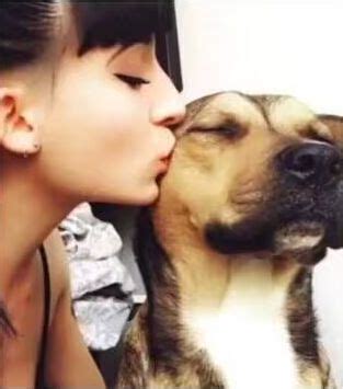 Leslie et Kévin retrouvés morts où se trouve leur chien Onyx disparu