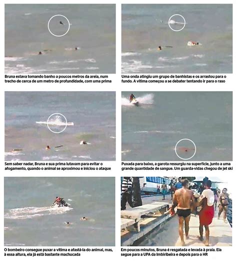 O Argonauta Vídeo de turista morta por ataque de tubarão no Recife