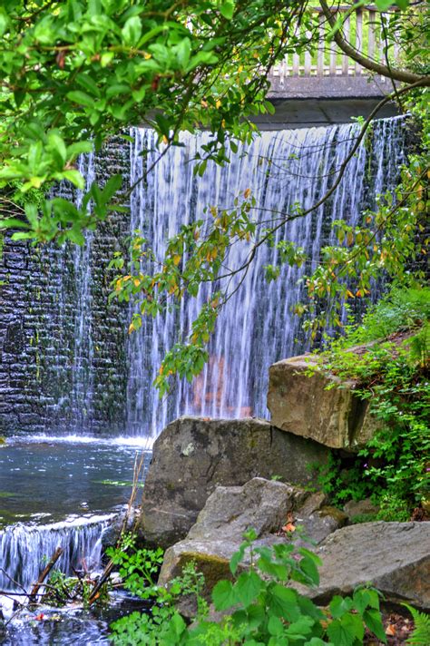 Images Gratuites Paysage Arbre Eau La Nature For T Roche