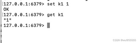 mac for m1 arm ：安装redis的四种方式（本机安装、homebrew安装、虚拟机安装、docker安装） mac m1安装redis csdn博客