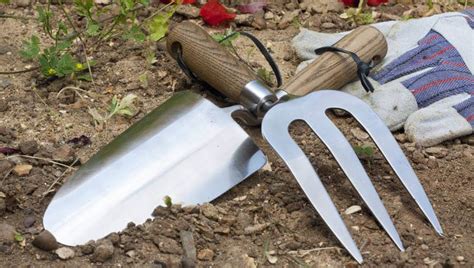 Most Essential Gardening Tools You Should Have The Complete List