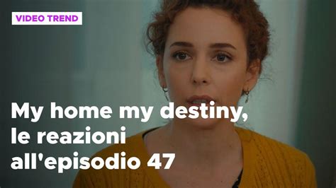 My Home My Destiny Il Riassunto E Le Reazioni Del 7 Novembre
