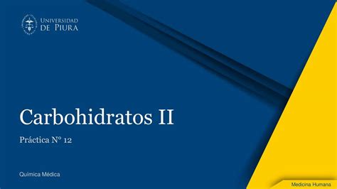 Carbohidratos II Alejandra UDocz