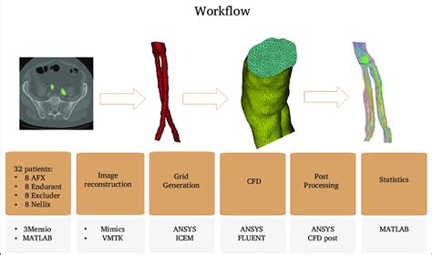 schematic representation of the computational workflow from medical download scientific diagram