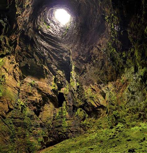 Sótano de las golondrinas en la Huasteca Potosina