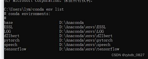 ipykernel操控jupyter内核命令and在jupyter lab中使用conda创建的虚拟环境 ipykernel使用 csdn博客