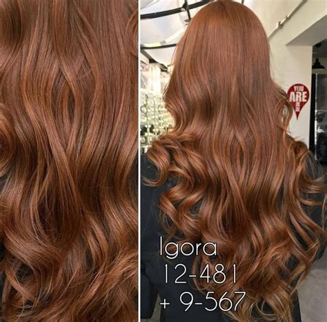Tono chocolate igora Colores de cabello claro Coloración de cabello
