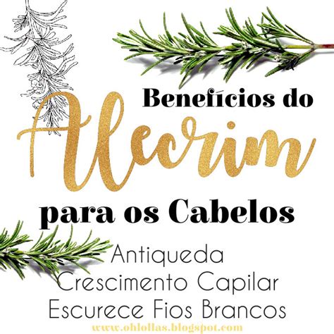 Alecrim No Cabelo Formas De Usar E Benef Cios