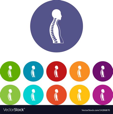 Human Spine Icons Set Flat Royalty Free Vector Image