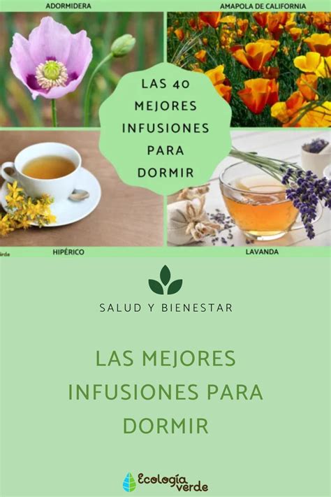 Las 40 Mejores Infusiones Para Dormir Lista Completa
