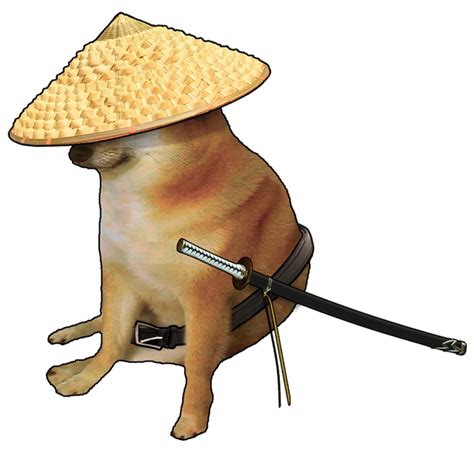 Chia sẻ 89 về hình chó cheems coedo vn
