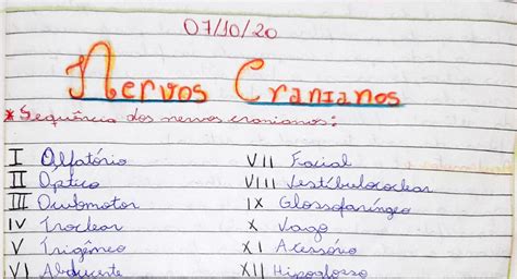 Nervos Cranianos Neuroanatomia E Neurofisiologia