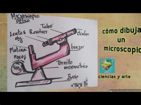 Cómo dibujar un microscopio óptico fácil y sencillo biología YouTube