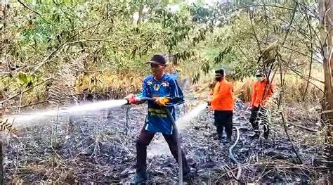 Sempat Mereda Karhutla Kembali Terjadi Di Palangka Raya