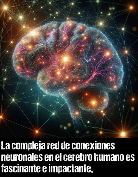 Significado De Conexi N