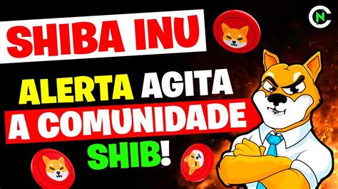 ALERTA AGITA A COMUNIDADE SHIBA INU Crypto News YouTube