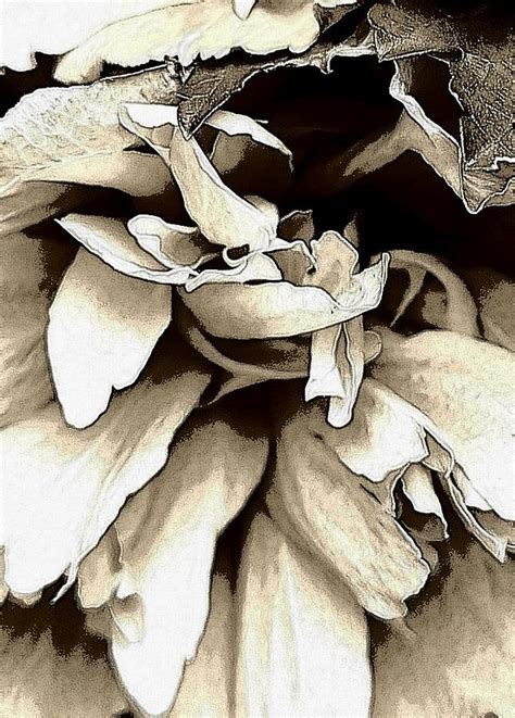 Abstract Awe Digital Art By Loraine Yaffe Fine Art America