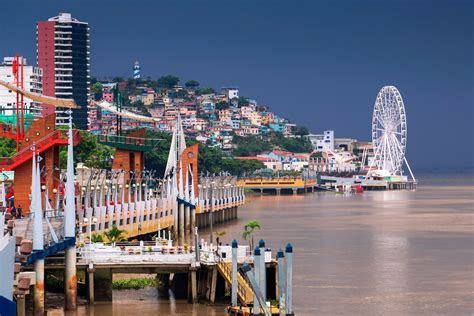 ᐈ Consulta o Descarga e Imprime la Planilla de Luz de Guayaquil