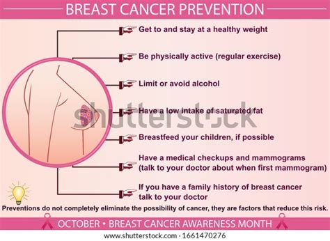 Breast Cancer Prevention Infographic Vector Health Stock Vector