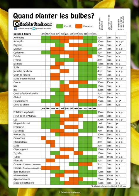 Calendrier planter bulbes Calendrier des semis Idées jardin