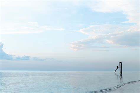 Banco De Imagens De Praia Mar Costa Agua Oceano Horizonte