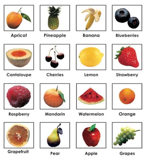 Nama Buah Dalam Bahasa Inggris Dan Audio Cara Membacanya English Admin