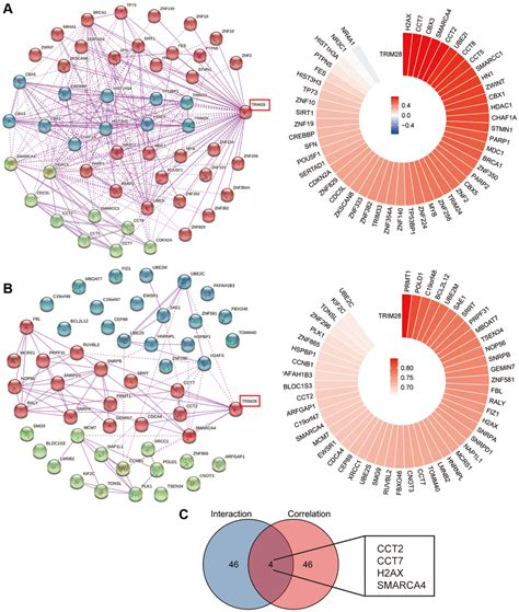 Integrated Analysis And Validation Of The Trim H Ax Cdk Diagnostic