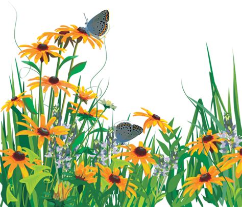 Grass Flowers Butterflies Ftestickers Png