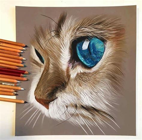 10 Dibujo Gato Realista Images And Photos Finder