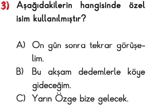 Online Test Çöz 3 Sınıf Türkçe Özel ve Cins İsimler Tekil ve Çoğul
