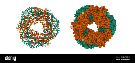 Estructura Cristalina De C Ficocianina De Synechococcus Vulcanus