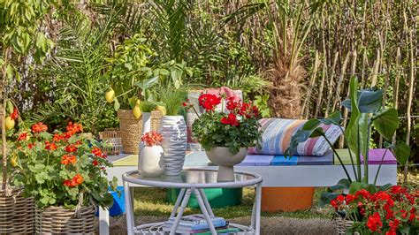 Jakie kwiaty na balkon i taras 20 pomysłów na pelargonie Zobacz