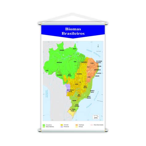 Biomas Brasileiros Mapa Brasil Banner Pedagógico Didático Shopee Brasil