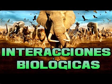 TOMi digital Relaciones Interespecíficas de los seres Vivos 4 y 5